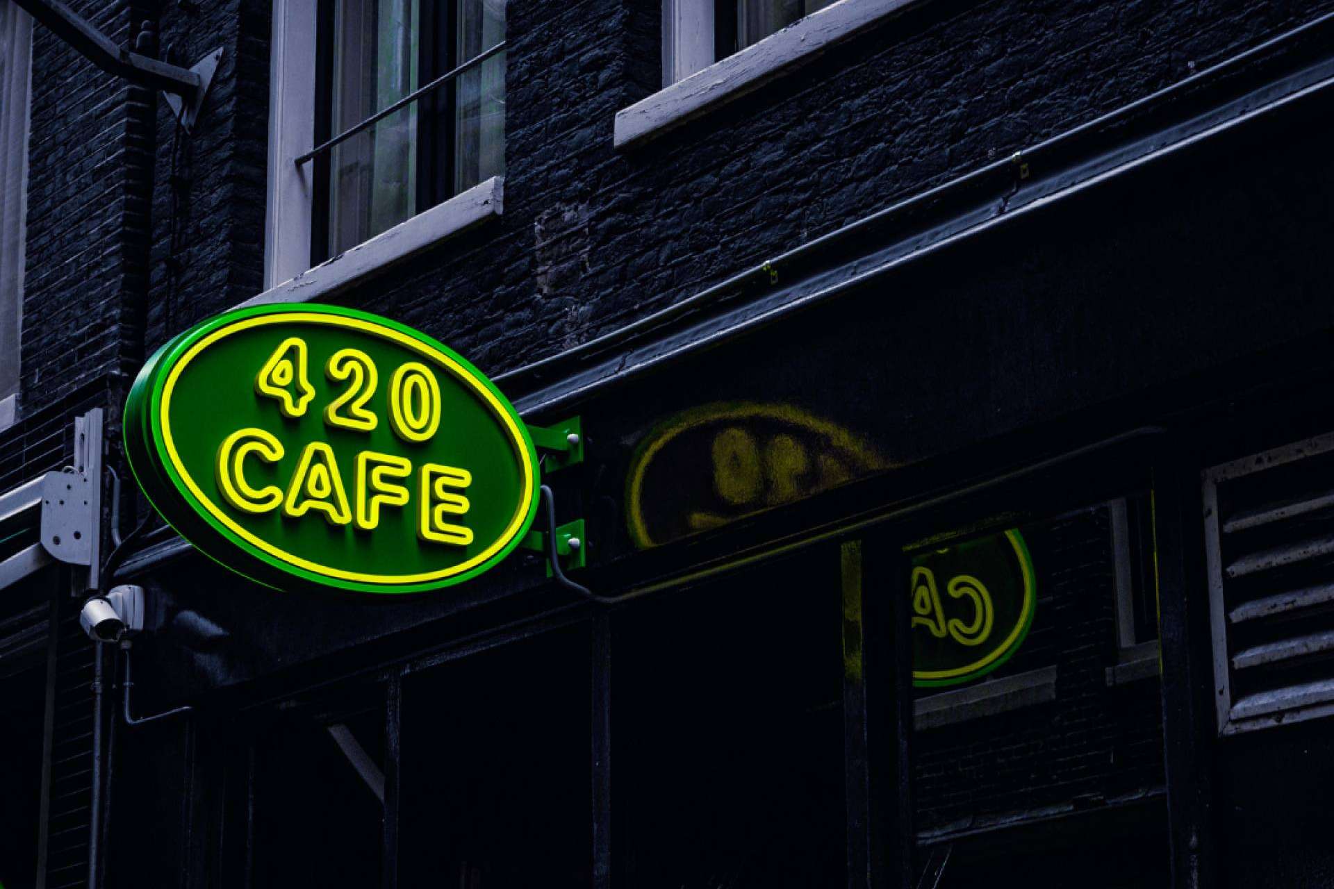 Todo sobre el día Internacional del Cannabis, ¿qué es el 420 ...